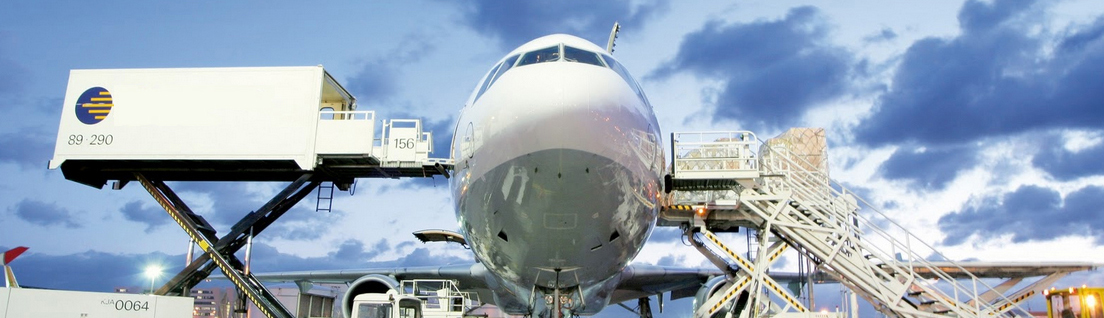 Skyline Import and Export (PVT) Ltd | International Importers & Exporters